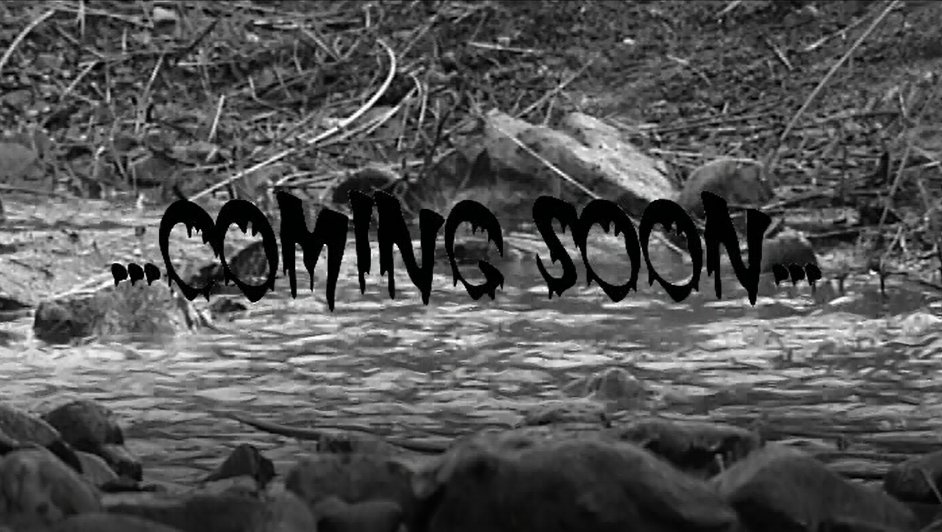 portada – Fran Castillo